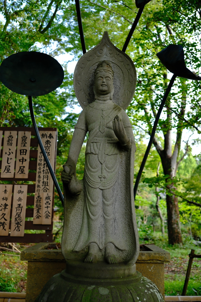 深大寺門前界隈にて 1: 季節の花だより